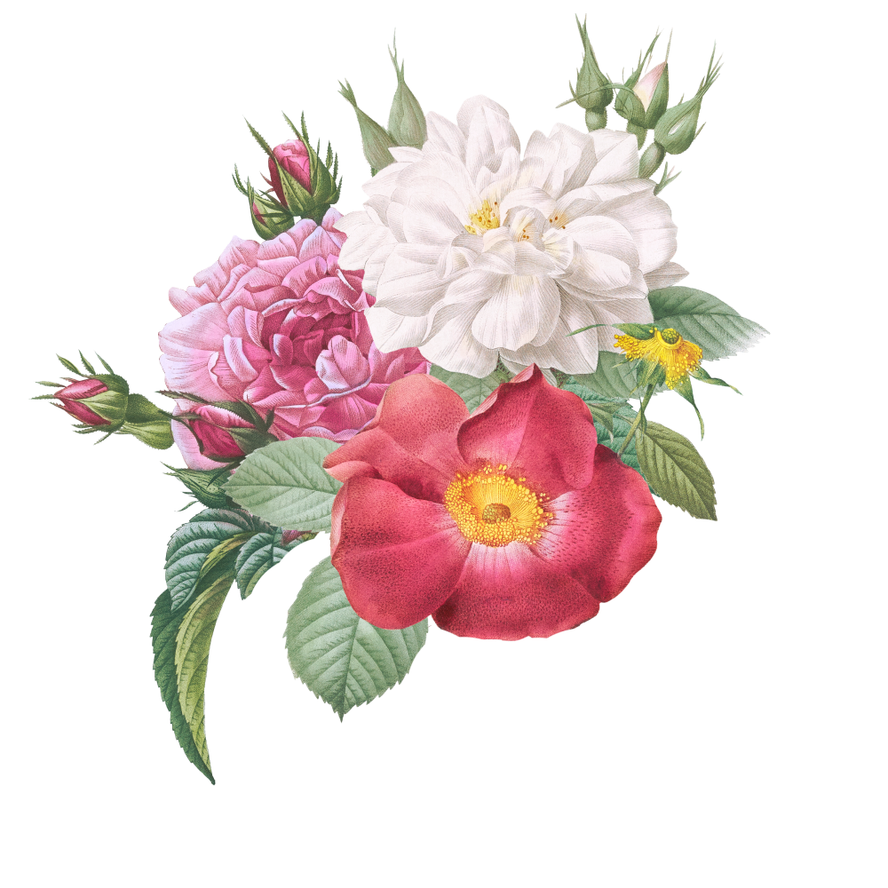 Nancy Avila Obituary | Altogether