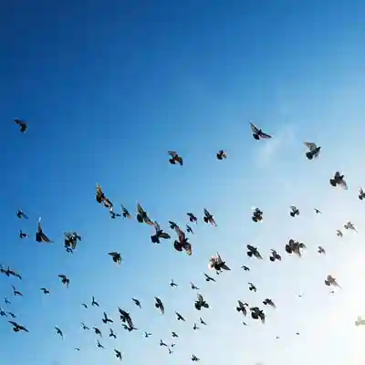 Raquel Silver Obituary | Aaron's Cremation and Funeral