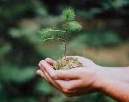 Peter Piotrowski Obituary | Greater Philadelphia Cremation